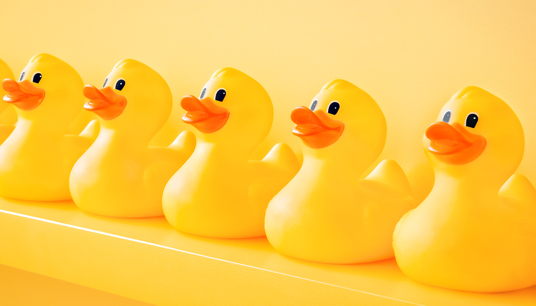 Getting Your Ducks In A Row | Get Carter Productions